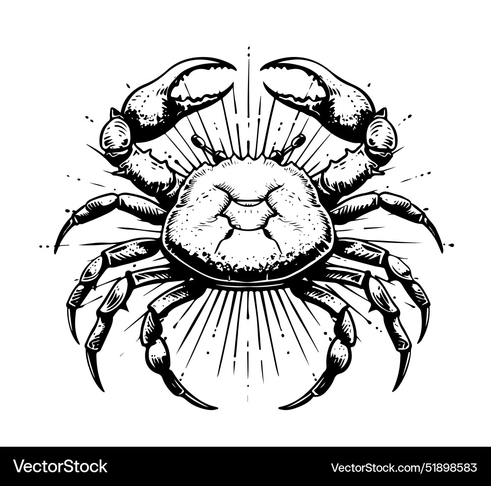 Hand drawn crab sketch Royalty Free Vector Image