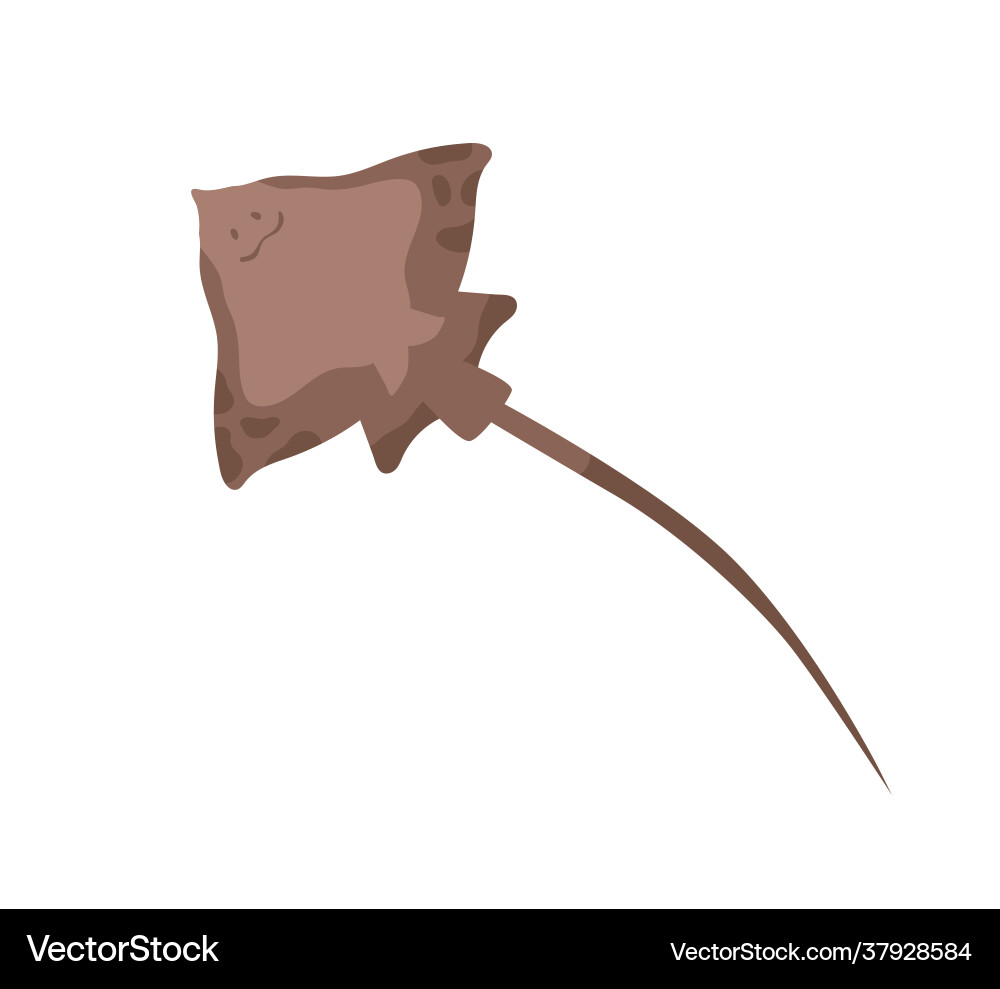 Sea stingray with tail or stinger marine sting Vector Image