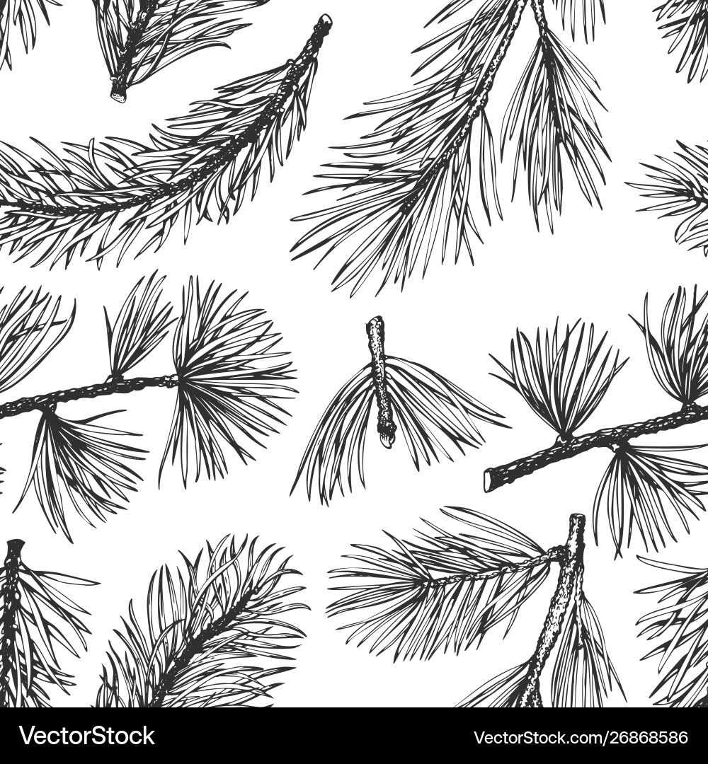 Hand Drawn Pine Needle Pattern Royalty Free Vector Image