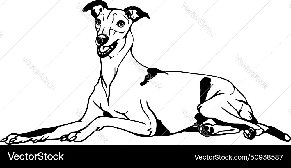 Greyhound dog - lying line art cut file Royalty Free Vector