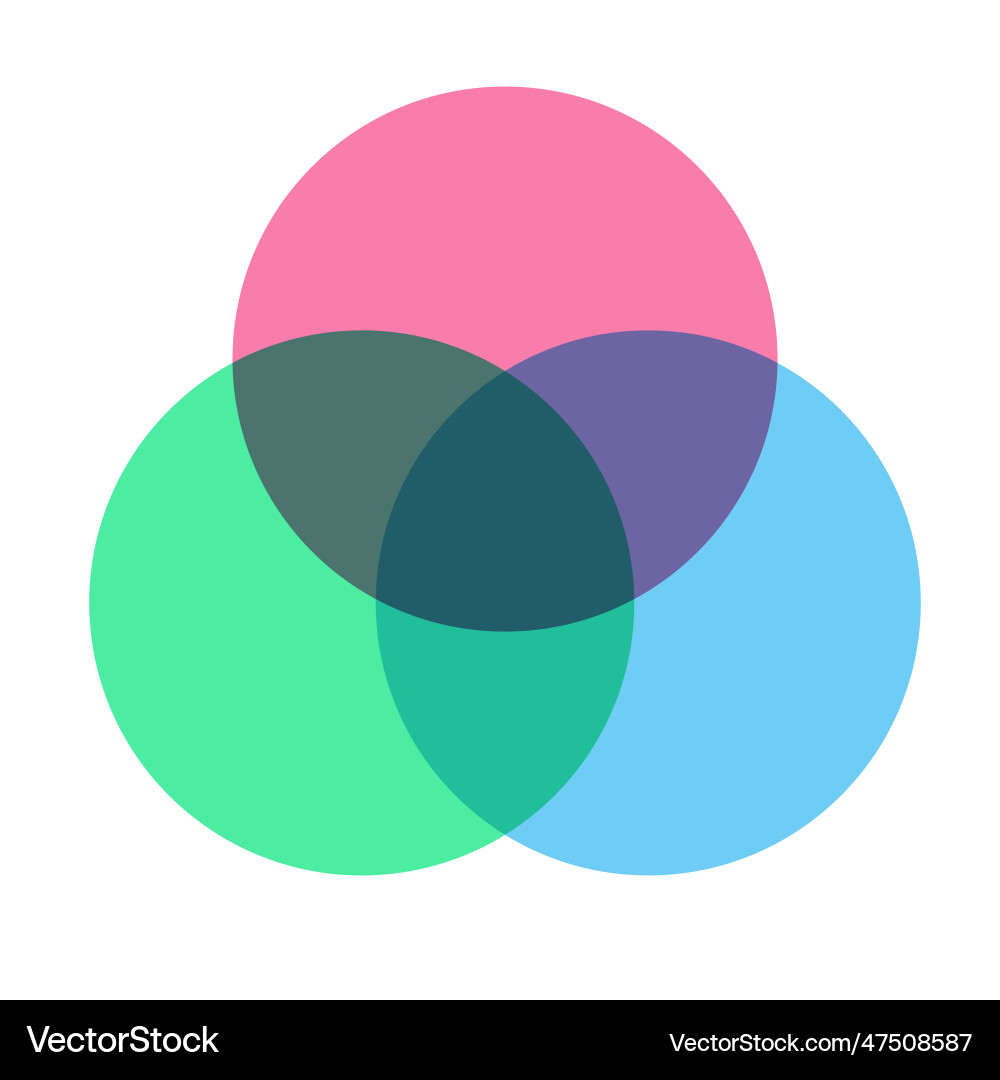 Venn diagram template color style Royalty Free Vector Image