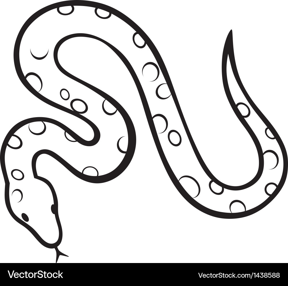 Snake Outline Vector Images (over 8,100)