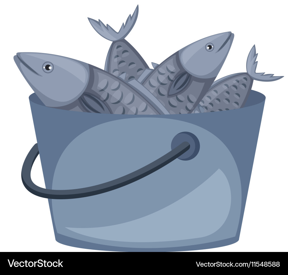 Bucket of fish on white background Royalty Free Vector Image