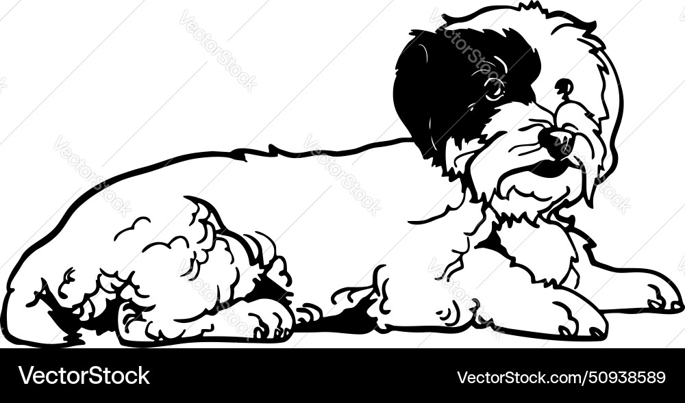 Havanese dog - lying greyhound line art cut file Vector Image
