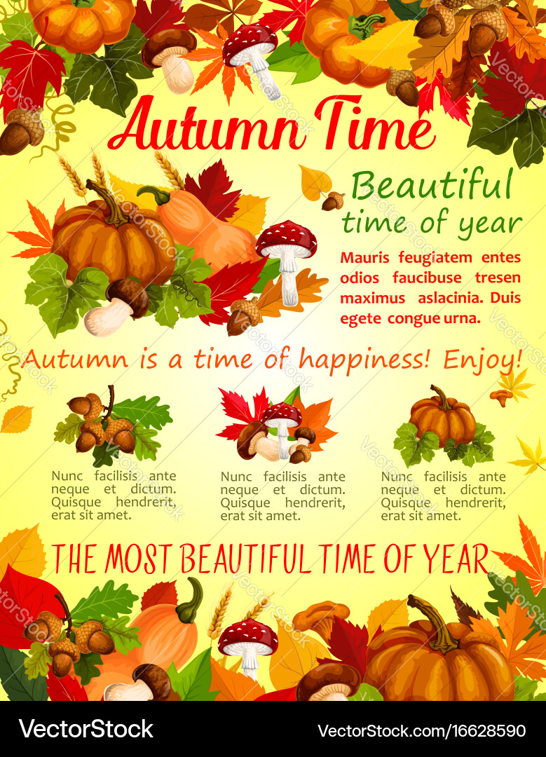 Autumn nature fall season poster template design Vector Image