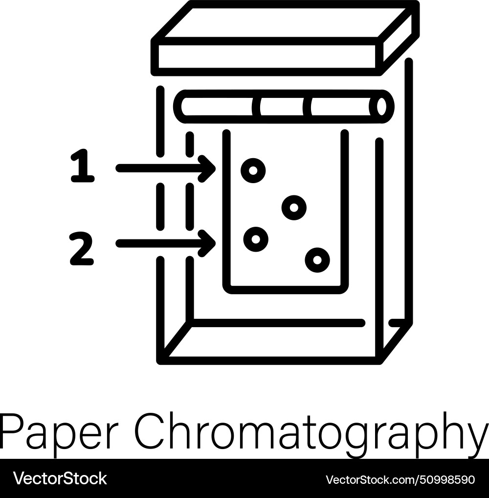 Paper chromatography Royalty Free Vector Image