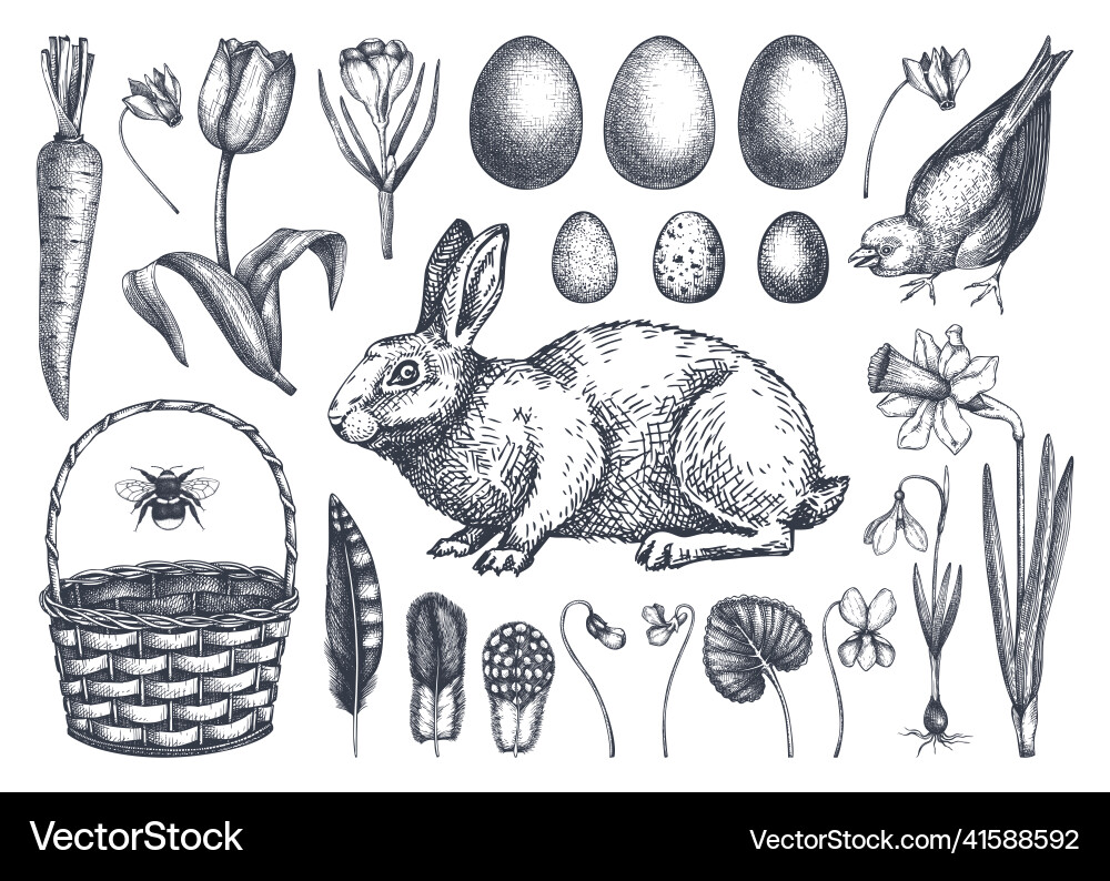 Easter design elements collection spring flowers Vector Image