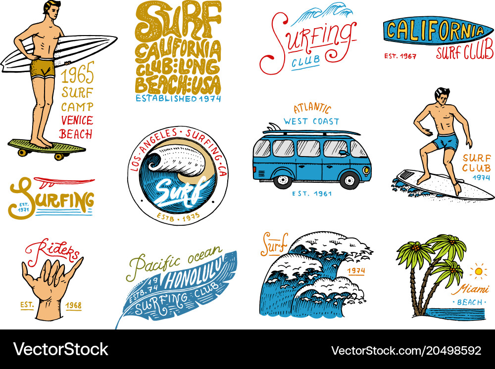 Surf badge and wave palm tree ocean tropics Vector Image