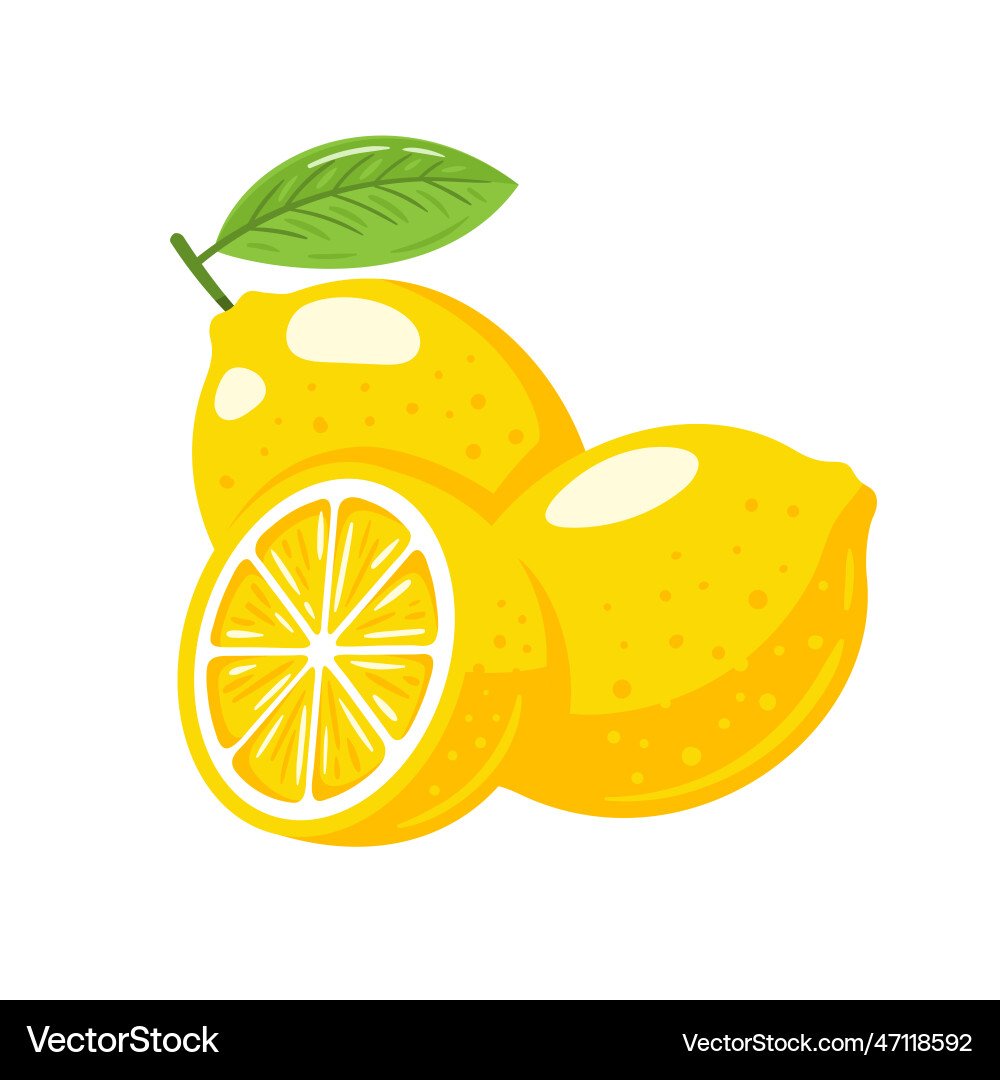Yellow lemon isolated on white background Vector Image