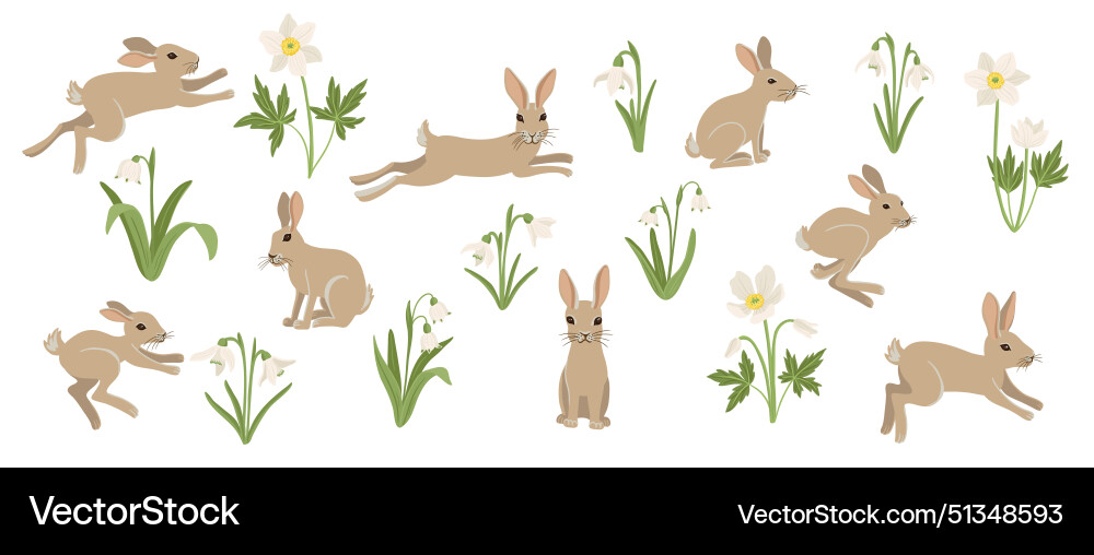 Drawing rabbits and flowers Royalty Free Vector Image