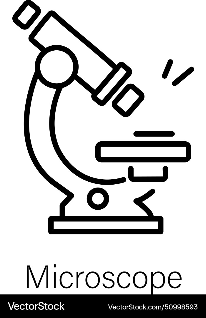 Microscope Royalty Free Vector Image - VectorStock