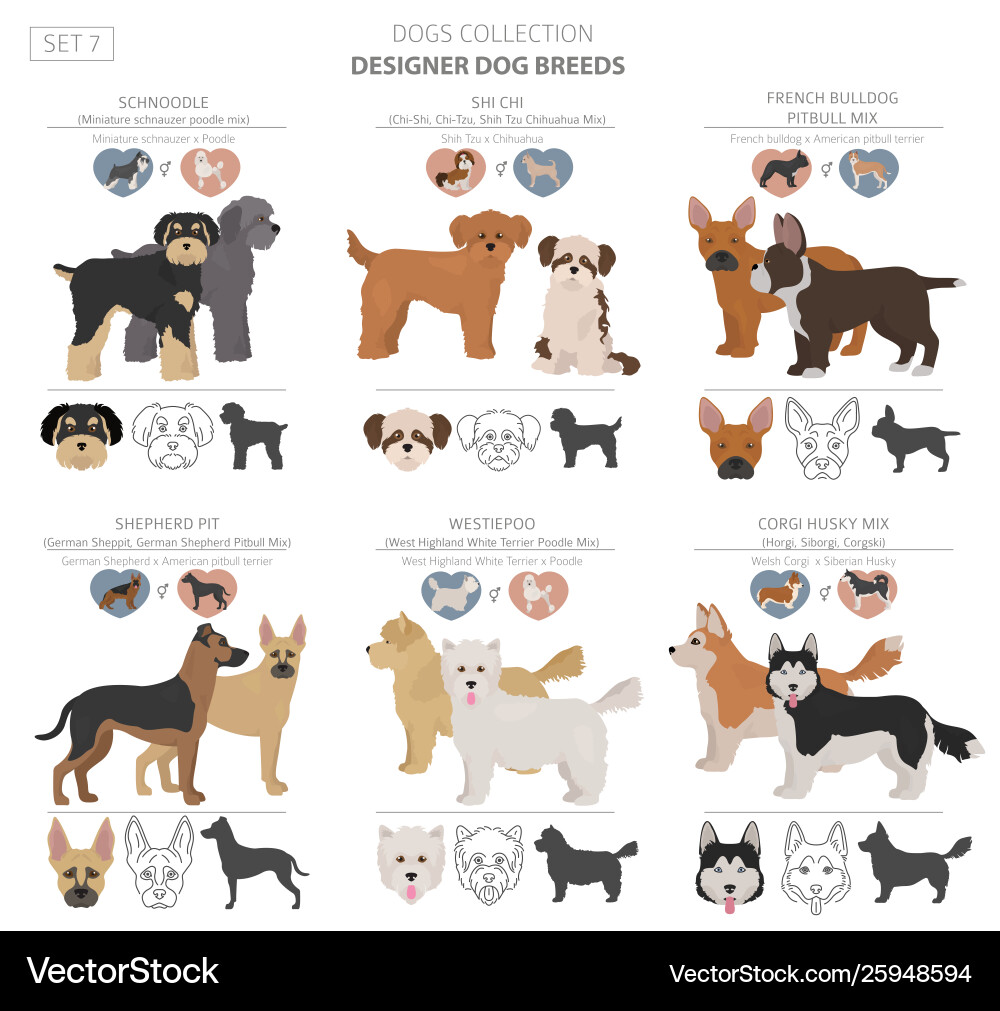 Cute Dog Breed Mix Collection Royalty Free Vector Image