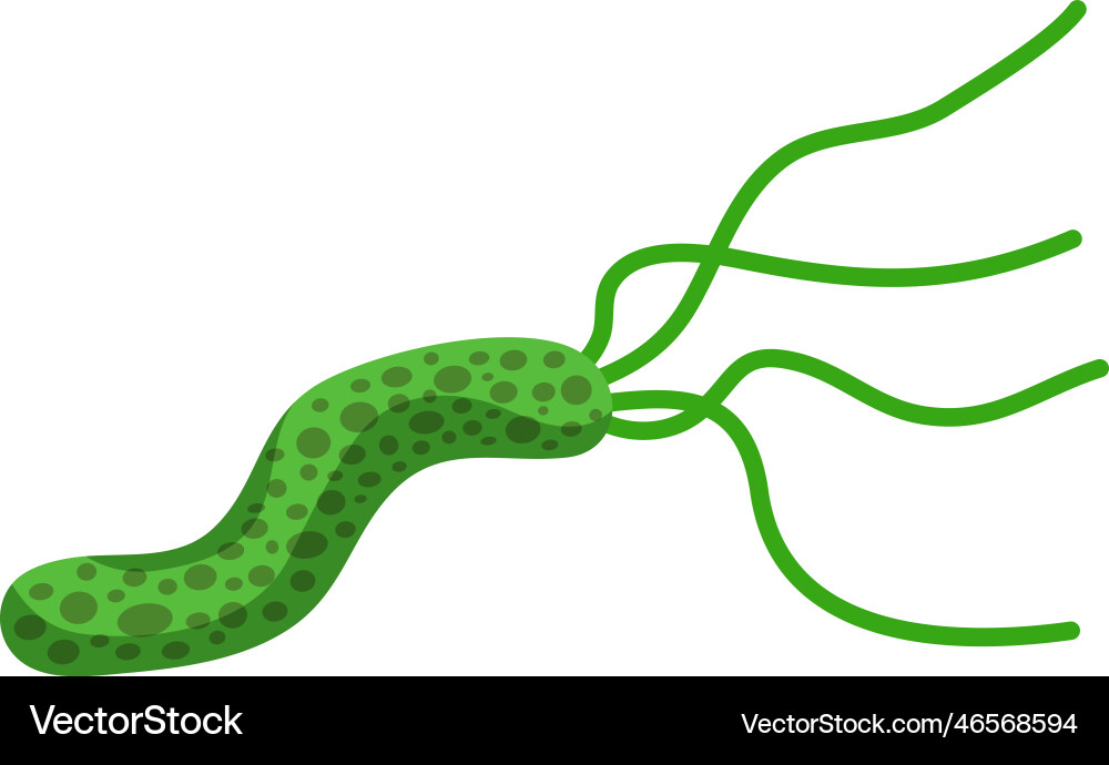 Helicobacter pylori icon Royalty Free Vector Image