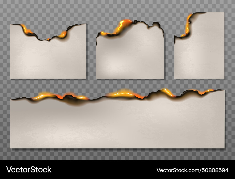 Realistic burnt paper collection Royalty Free Vector Image