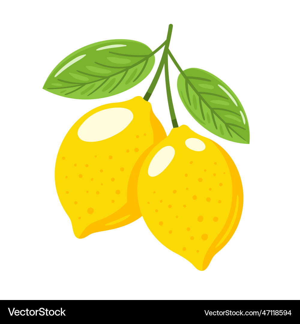 Yellow lemon isolated on white background Vector Image