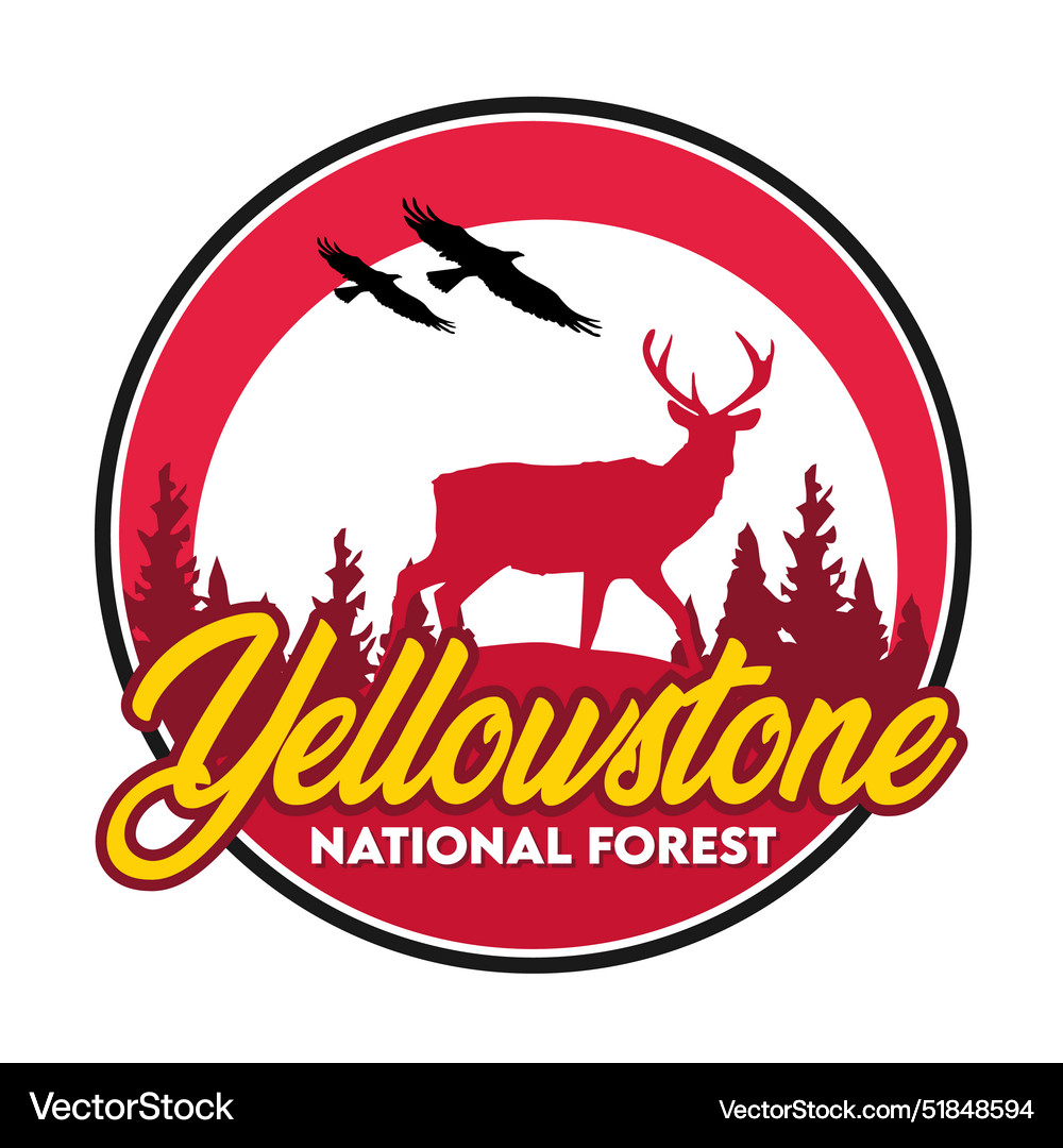 Yellowstone national forest with beautiful Vector Image
