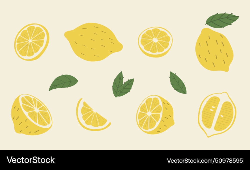 Lemon 1 Royalty Free Vector Image - VectorStock