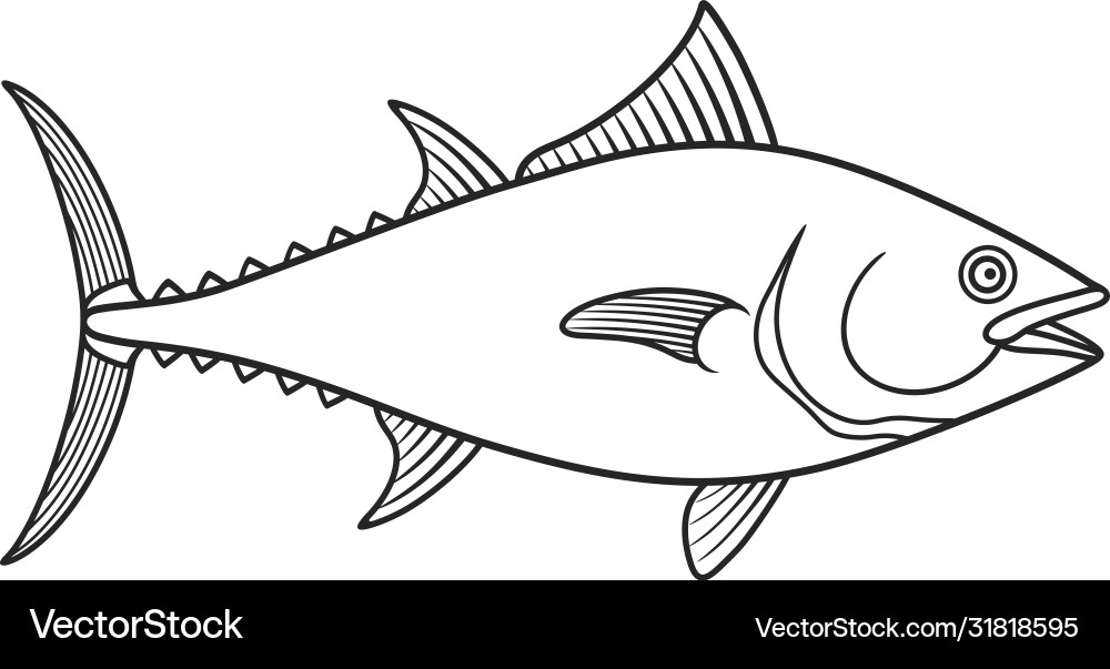 Tuna Royalty Free Vector Image - VectorStock