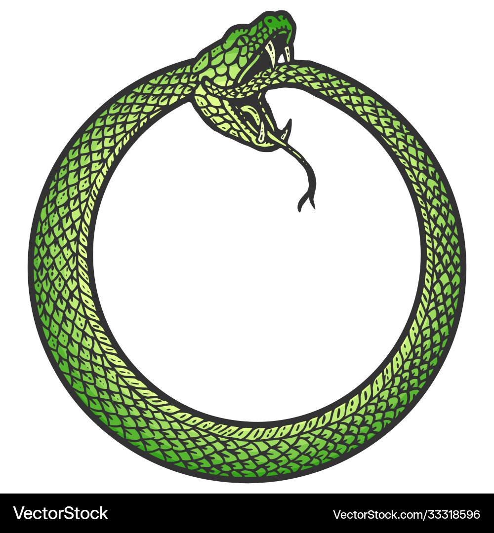 Uroboros snake coiled in a ring biting its tail Vector Image