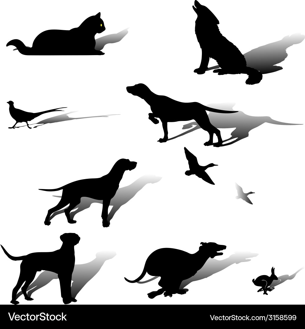 Hunting dog Royalty Free Vector Image - VectorStock