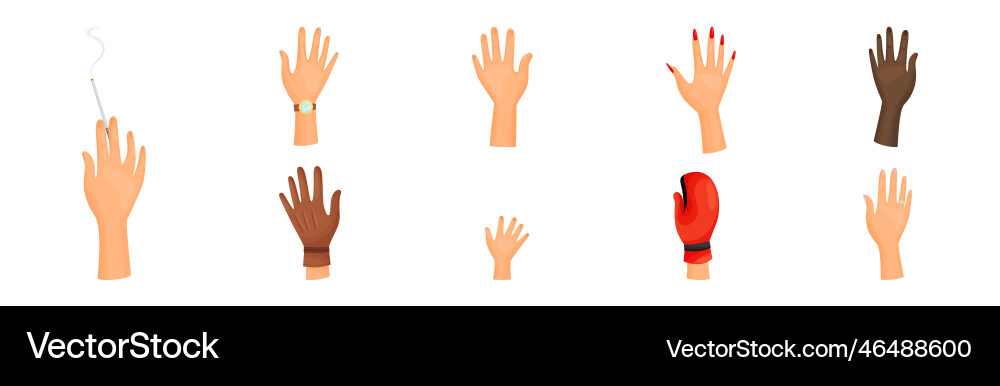 Different human right and left hands with palm Vector Image