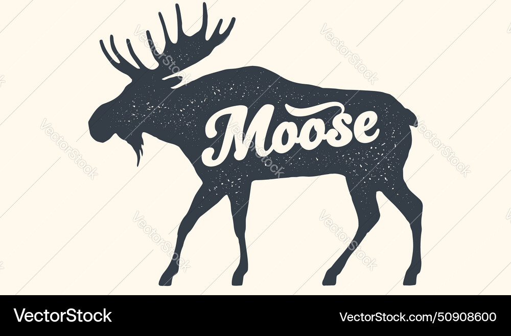 Moose lettering typography Royalty Free Vector Image