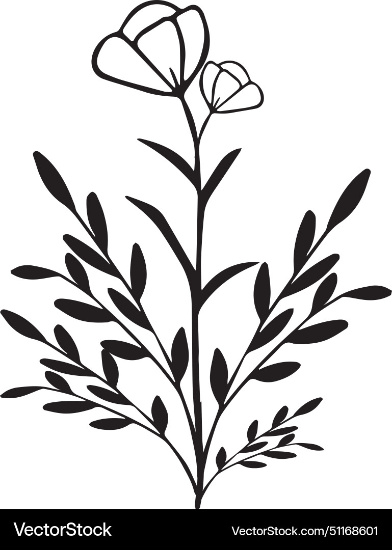 Flower Black Royalty Free Vector Image Vectorstock