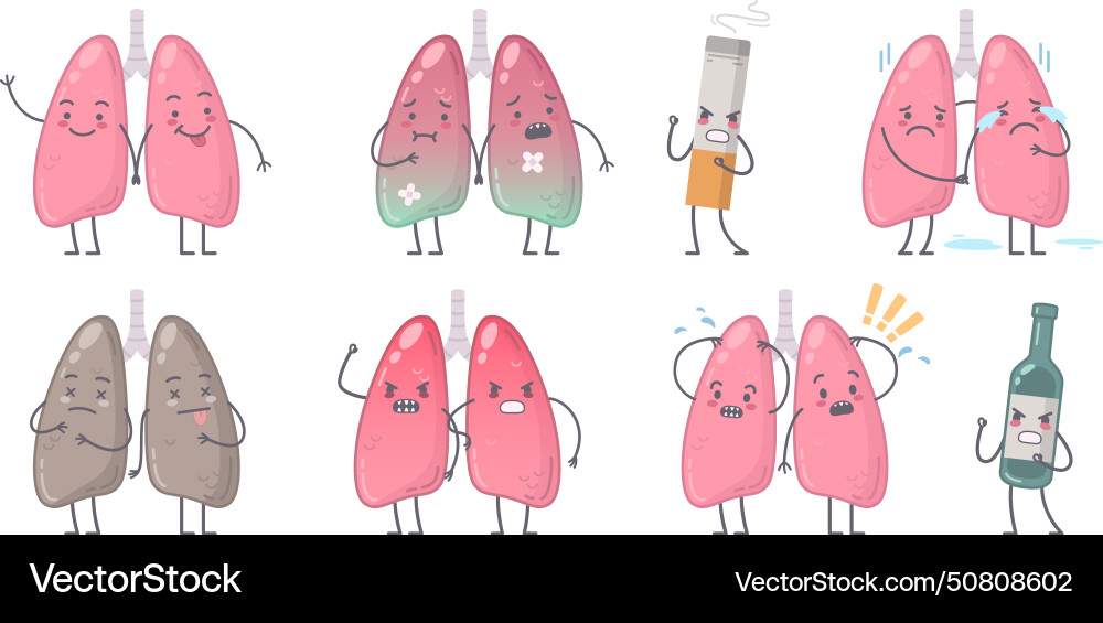 Cartoon human lungs set Royalty Free Vector Image