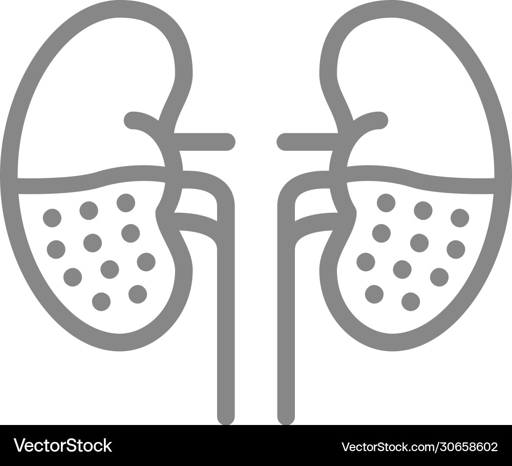 Chronic kidney disease line icon human organ Vector Image