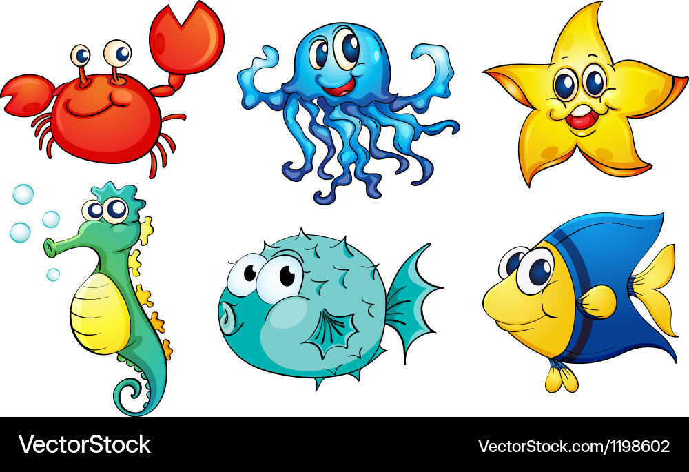 Different sea creatures Royalty Free Vector Image