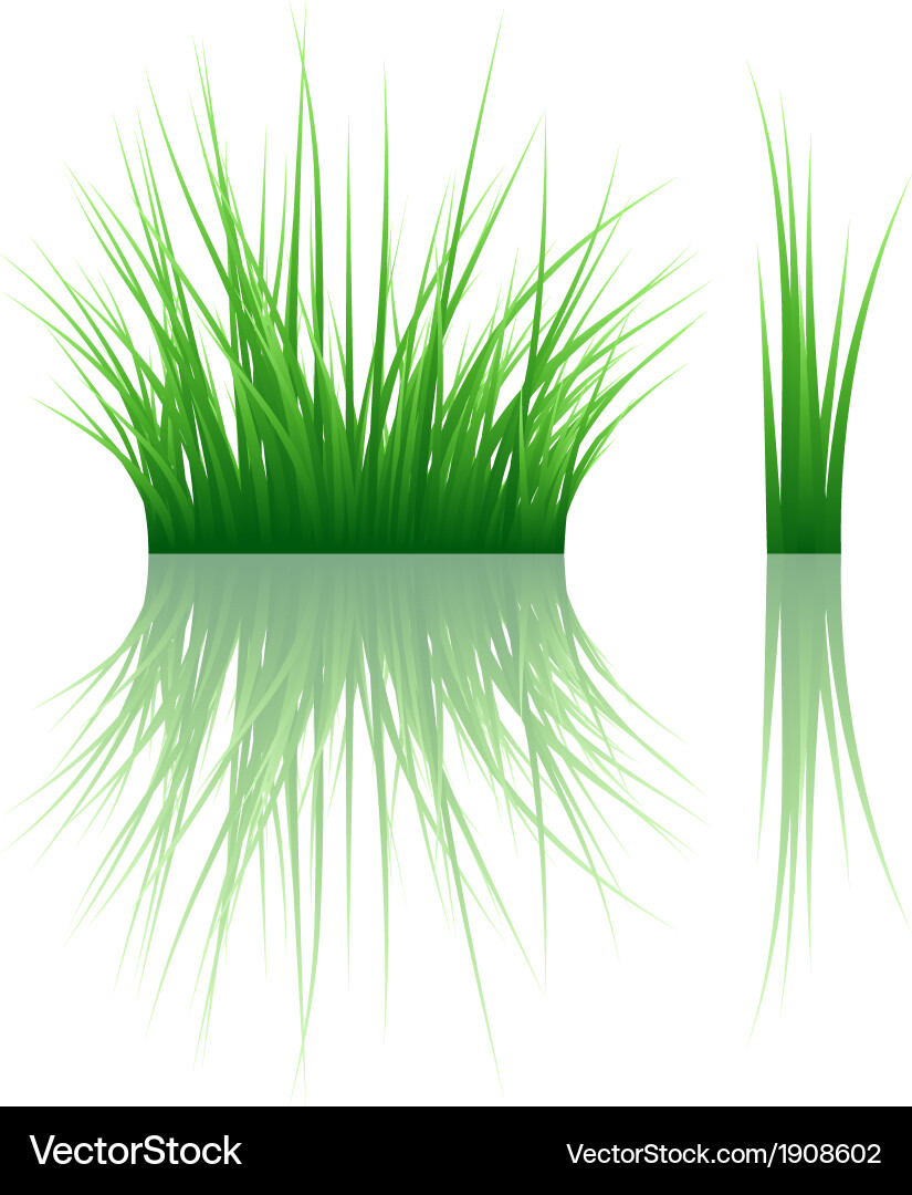 Reflected grass pattern Royalty Free Vector Image