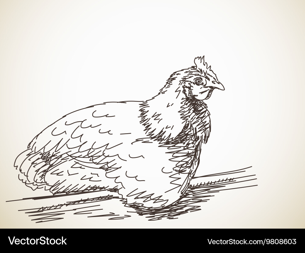 Hen Royalty Free Vector Image - VectorStock
