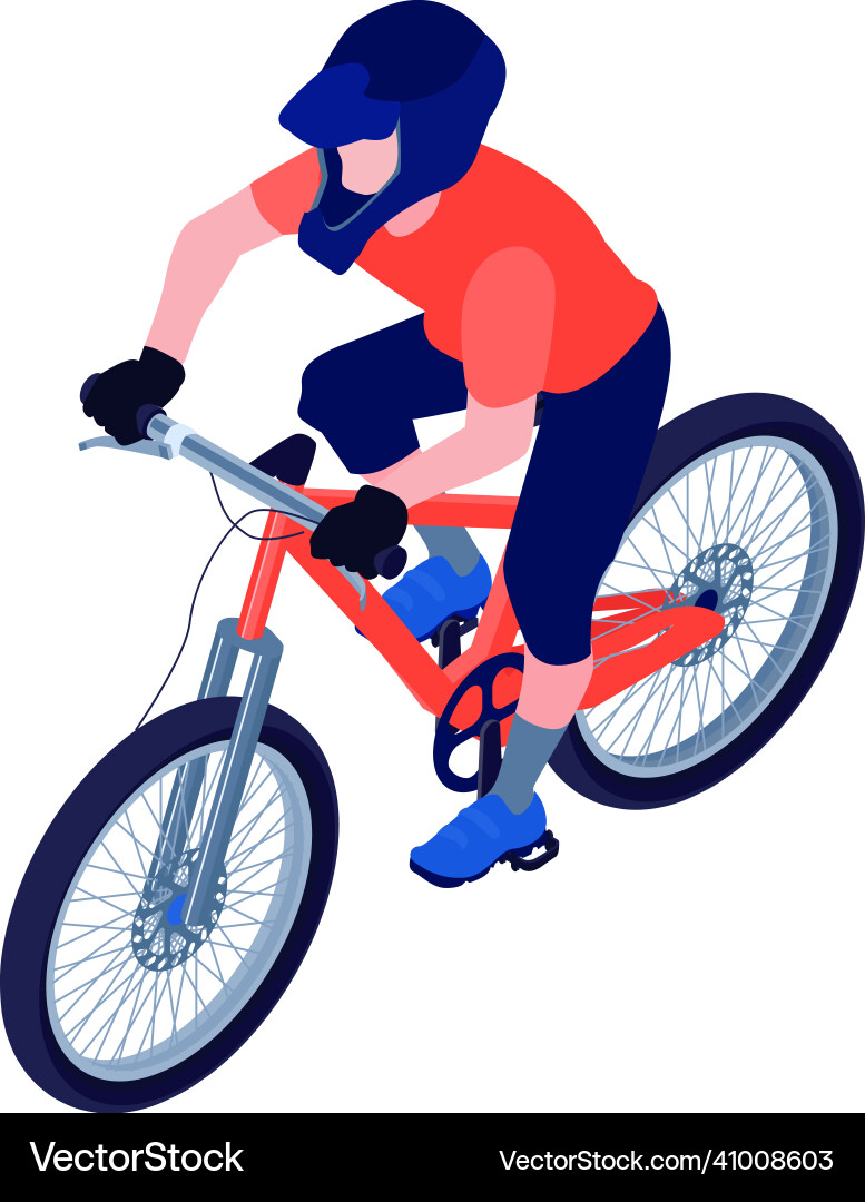 Mountain bicycle icon Royalty Free Vector Image