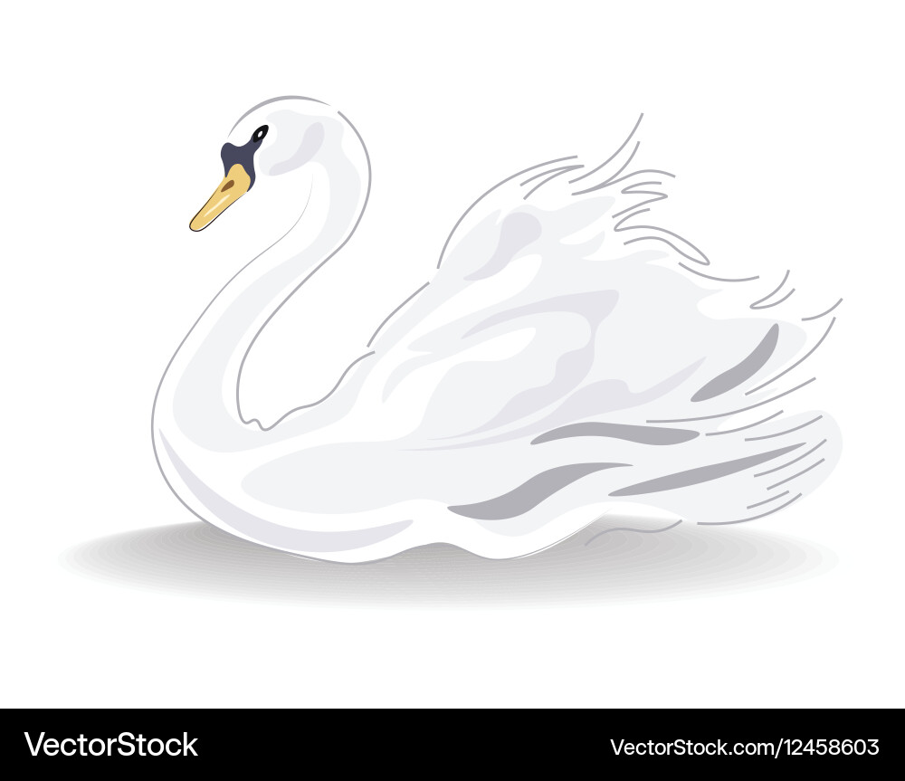 Swan Royalty Free Vector Image - VectorStock