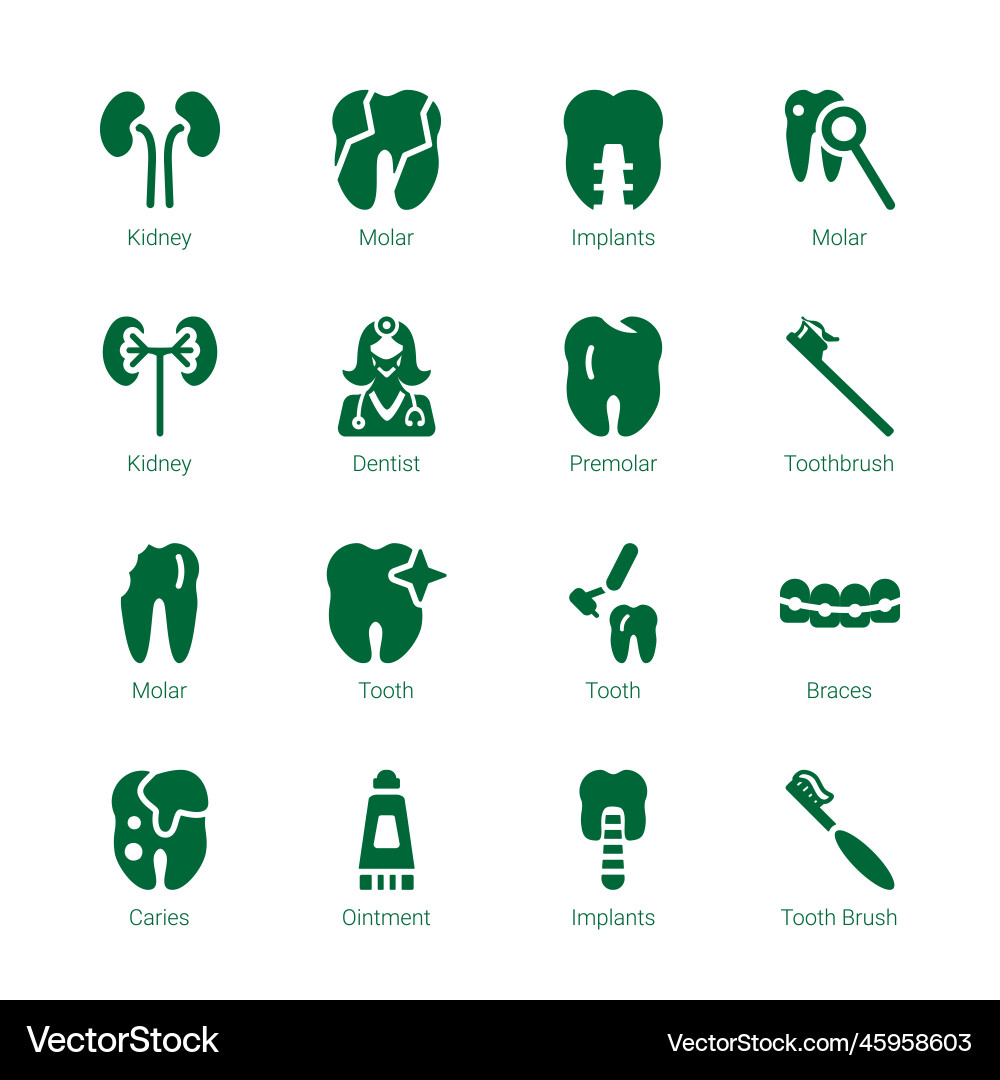 Tooth icons Royalty Free Vector Image - VectorStock