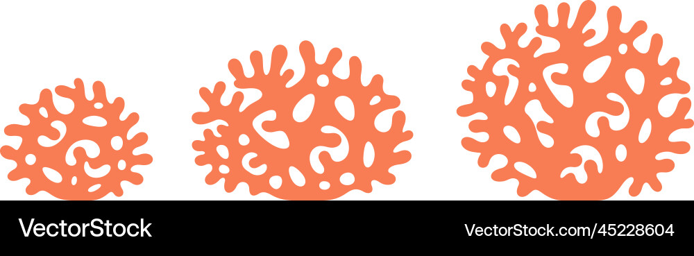Coral Royalty Free Vector Image - VectorStock