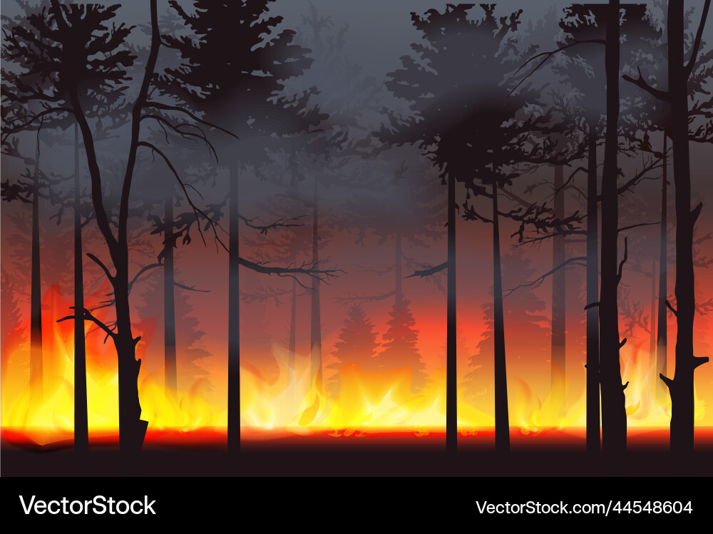 Realistic silhouette wildfire forest fire Vector Image