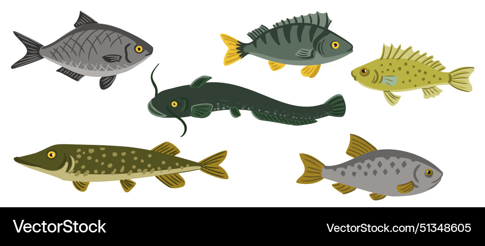Drawing set of fishes Royalty Free Vector Image
