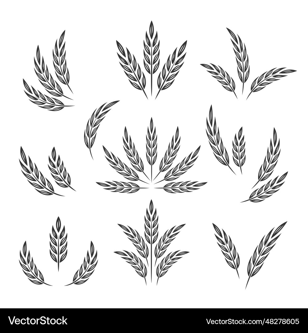 Flat agriculture wheat icon set isolated Vector Image