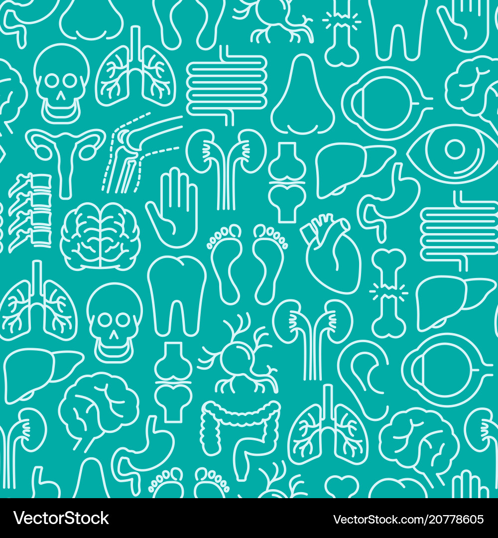 Human Anatomy Internal Organs Pattern Royalty Free Vector