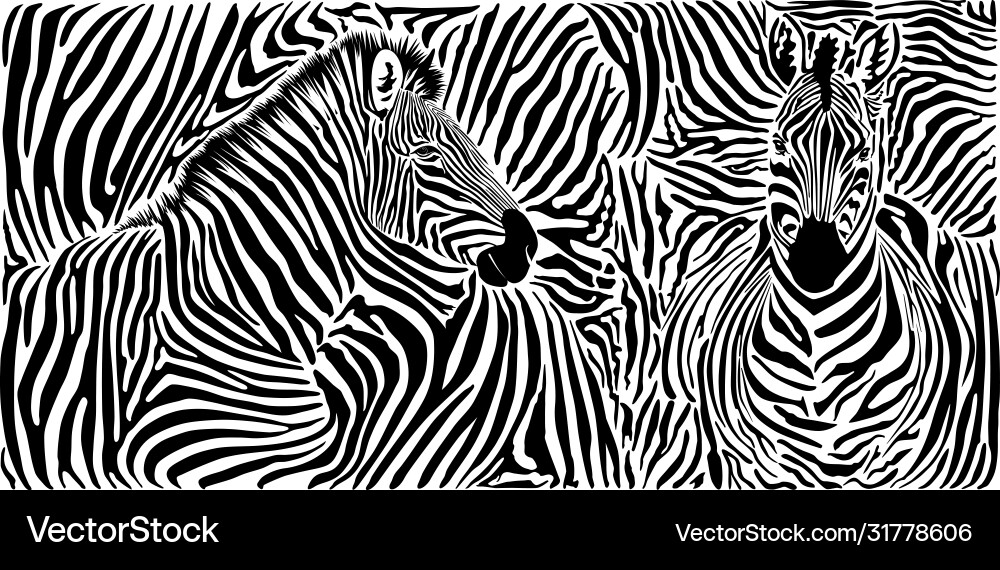 Zebra skin pattern with two heads Royalty Free Vector Image