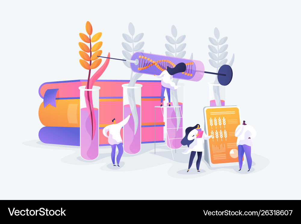 Genetically Modified Crops Concept Royalty Free Vector Image