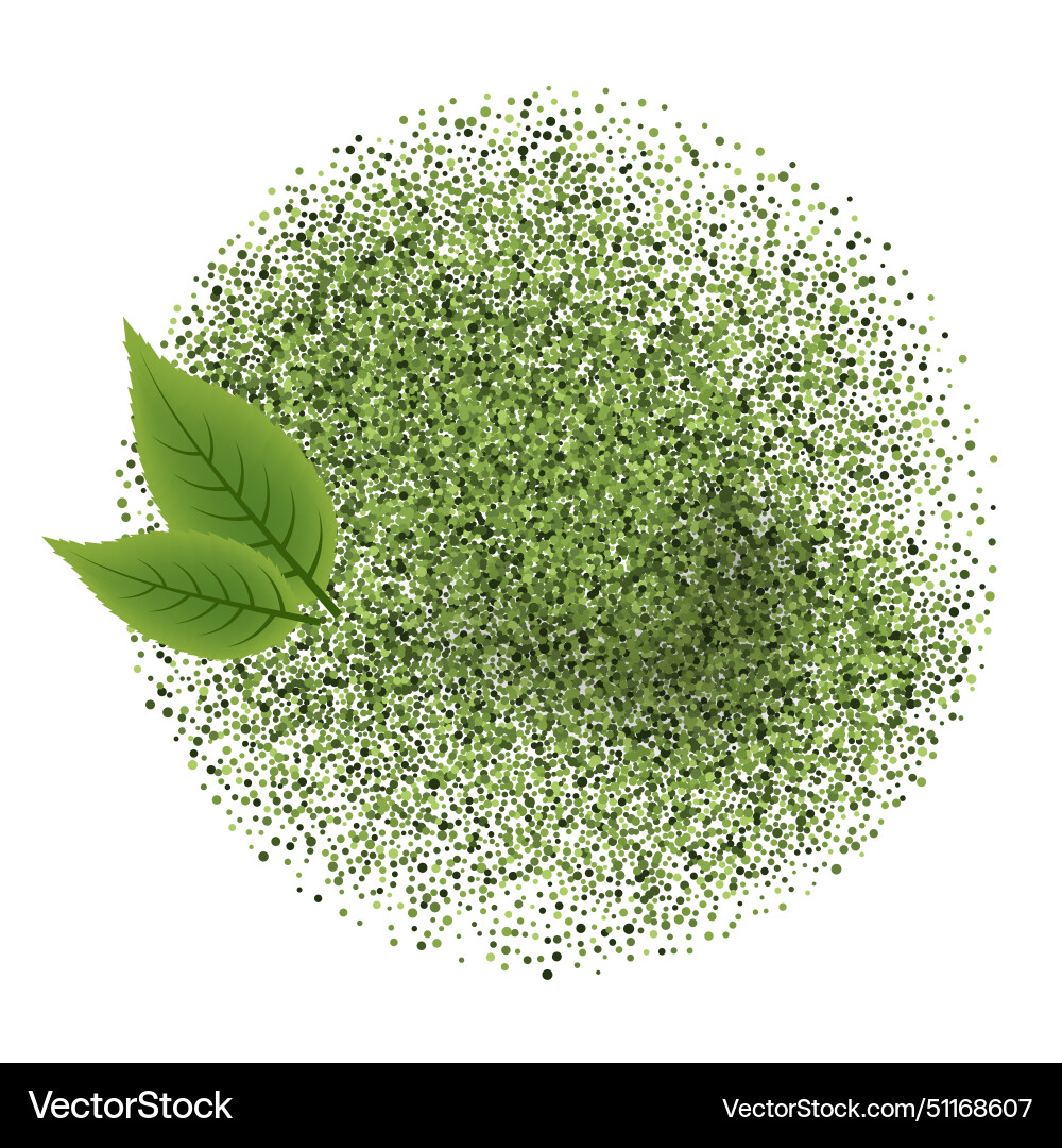 Matcha green tea powder splash with fresh leves Vector Image