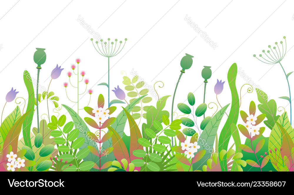 Spring floral seamless border with green plants Vector Image