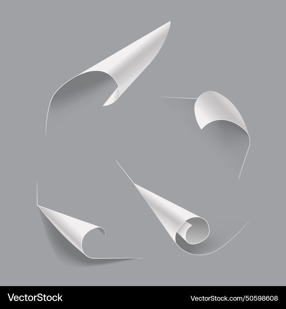 Realistic 3d paper sheets with curled Royalty Free Vector
