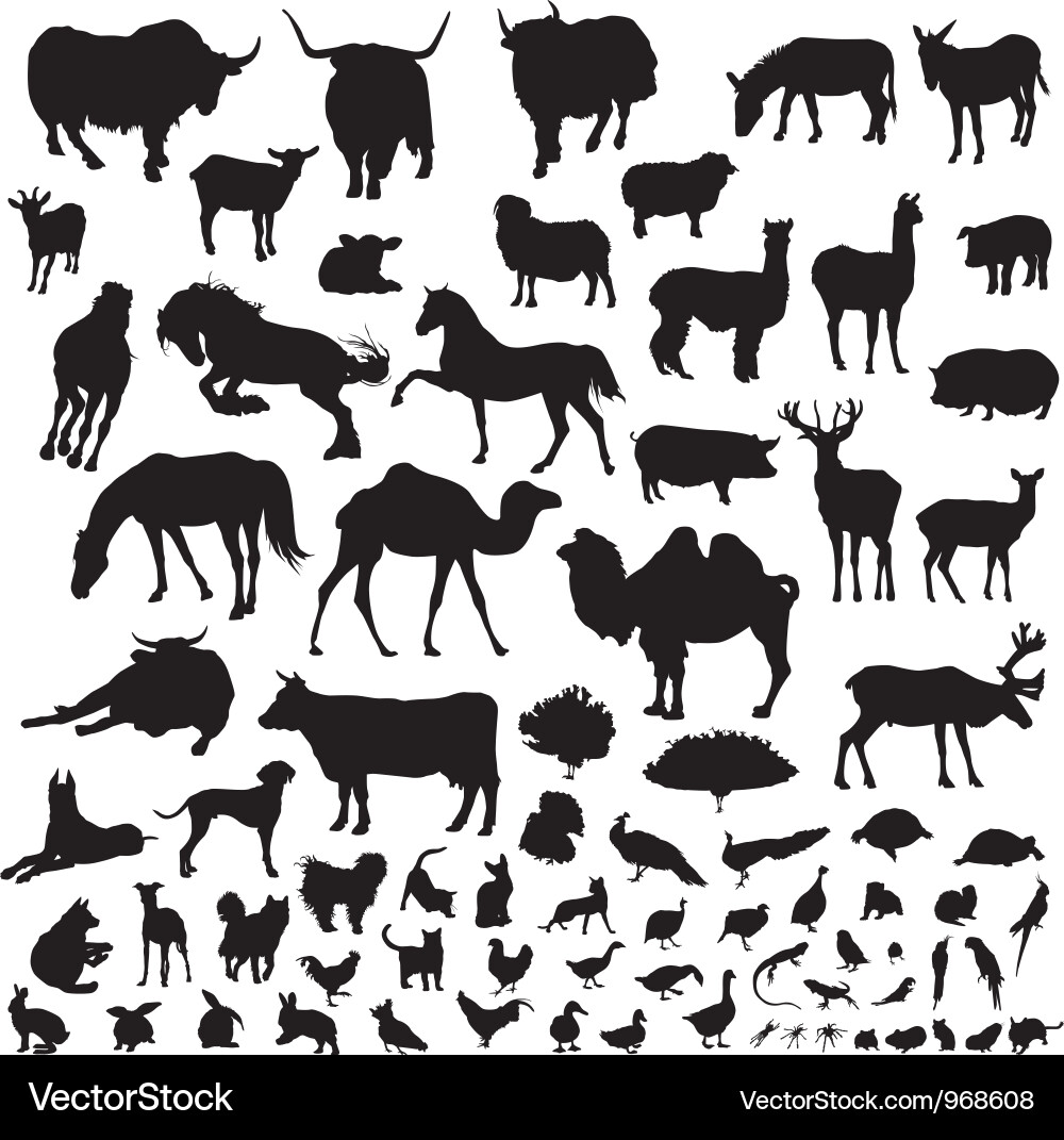 Farm Animals Outline Vector Images (over 37,000)