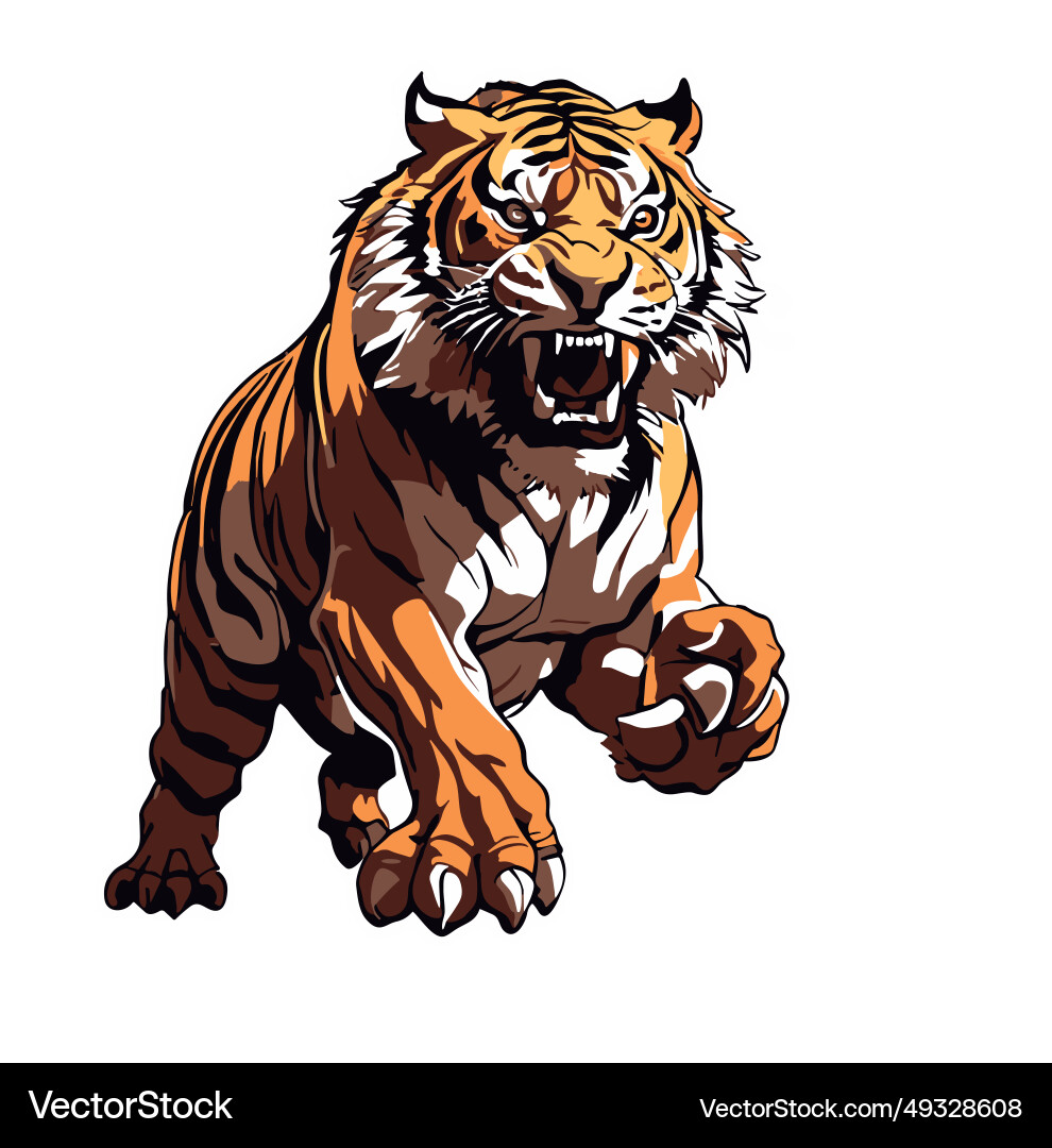 Tiger attack Royalty Free Vector Image - VectorStock