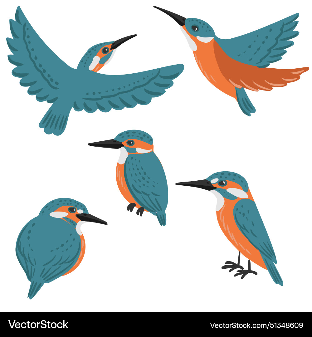 Drawing birds Royalty Free Vector Image - VectorStock