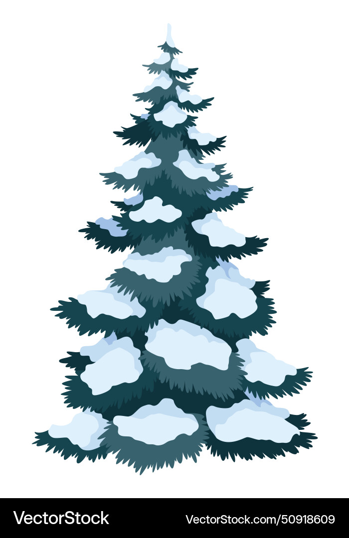 Fir tree with snow winter snow-covered spruce Vector Image