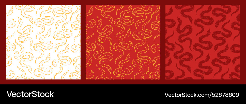Set of seamless pattern with chinese snake Vector Image